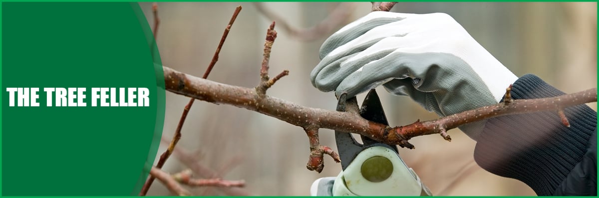 The Tree Feller is a Tree Company in Cheyenne, WY 82009